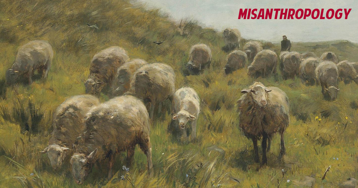 This Is Hell! | Episode 956: Misanthropology